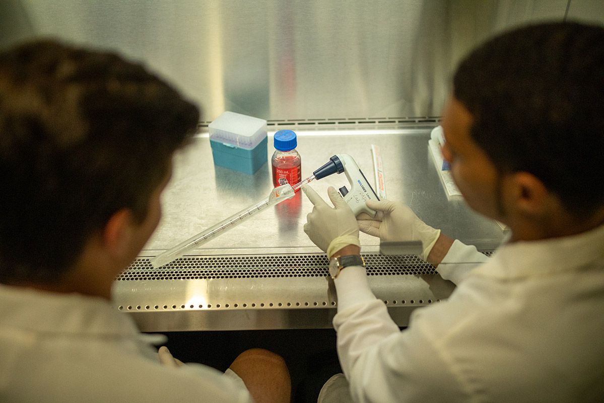 Chemical and Biological Engineering - School of Biomedical and Chemical ...